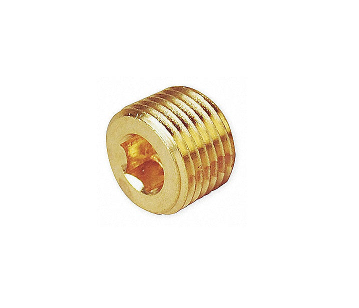 Pipe Plug NPT 1/4" Stainless Steel | Z Car Depot Inc