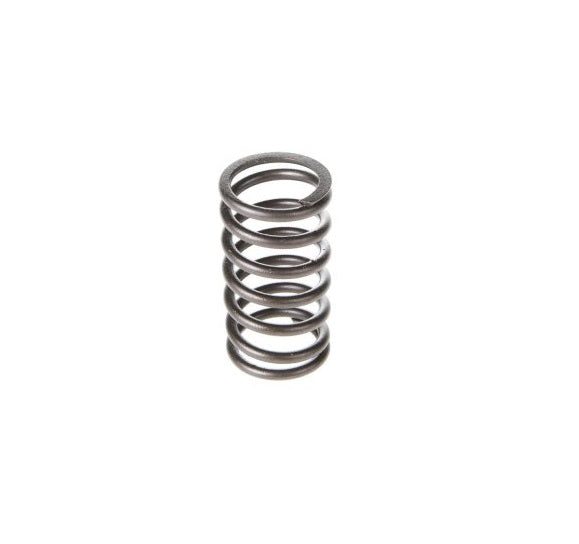 Valve Spring Inner and Outer 240Z 260Z 280Z 280ZX 510 | Z Car Depot Inc
